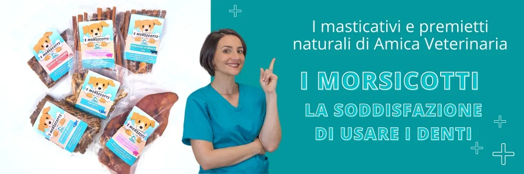 Epulide nel cane: il tumore della gengiva. - Amica Veterinaria