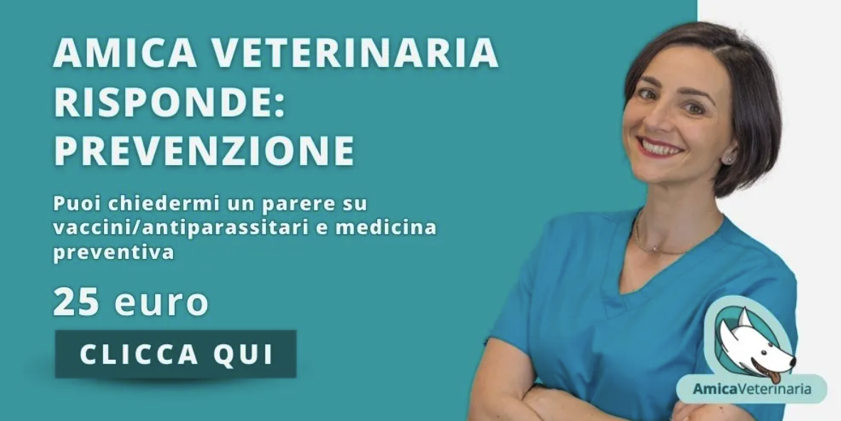 Amica Veterinaria Risponde Medicina preventiva, antiparassitari e vaccini - Amica Veterinaria